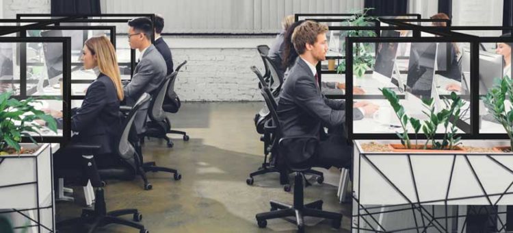 Freestanding Dividers - Portable Partitions New Zealand